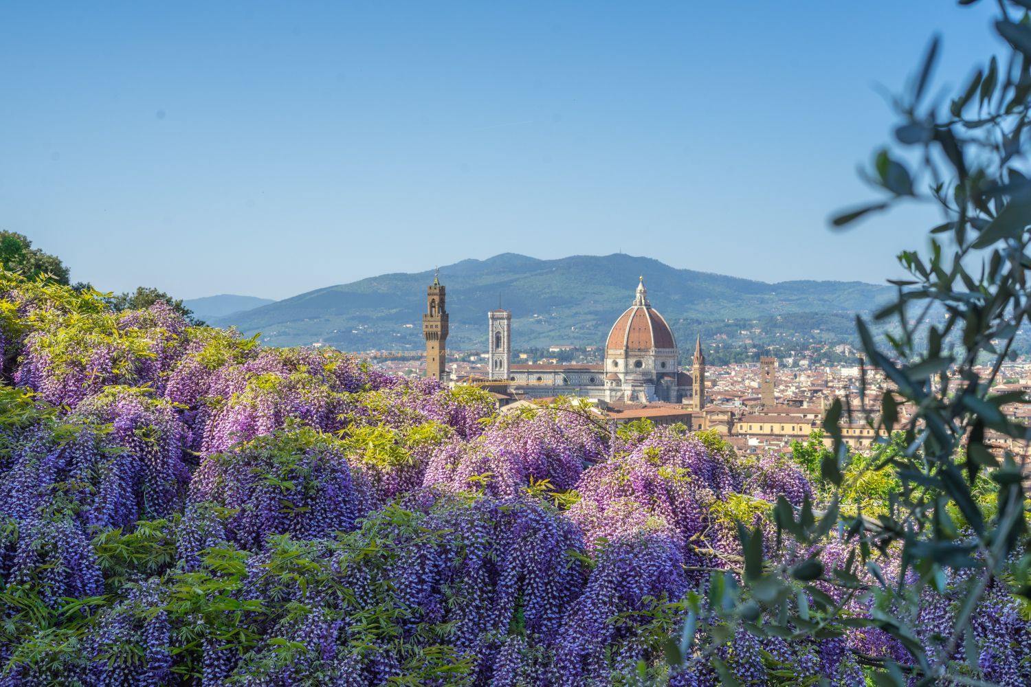 Florence Private Guide - Walking Tours in Florence